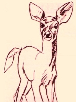 Forgotten Musicals Friday: THE YEARLING | Musical Cyberspace